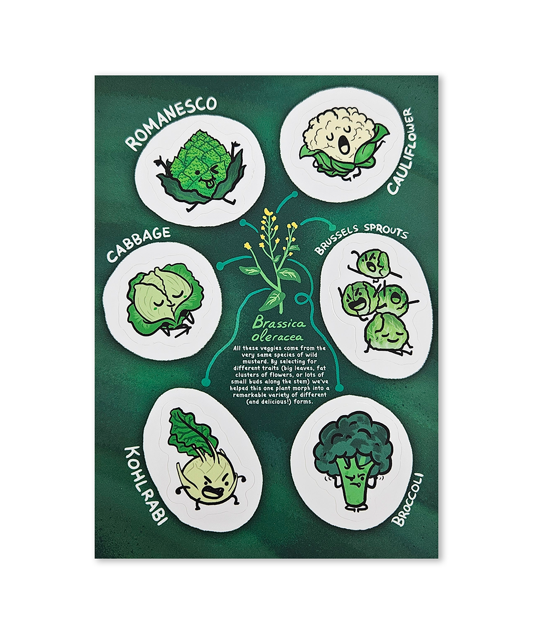 Brassica Gang Sticker Sheet – DFTBA