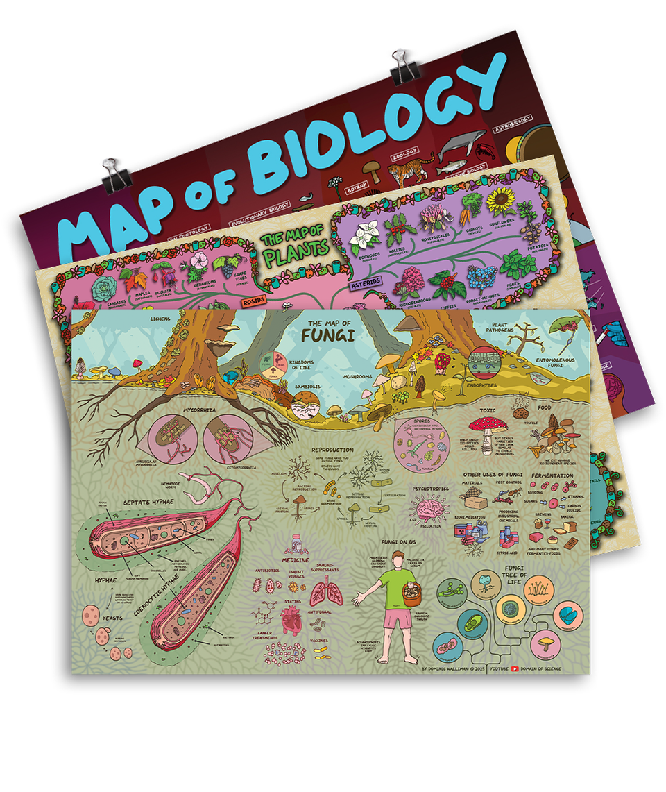 Domain Of Science – DFTBA