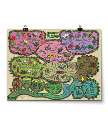 Domain of Science | The Map of Plants Poster – DFTBA