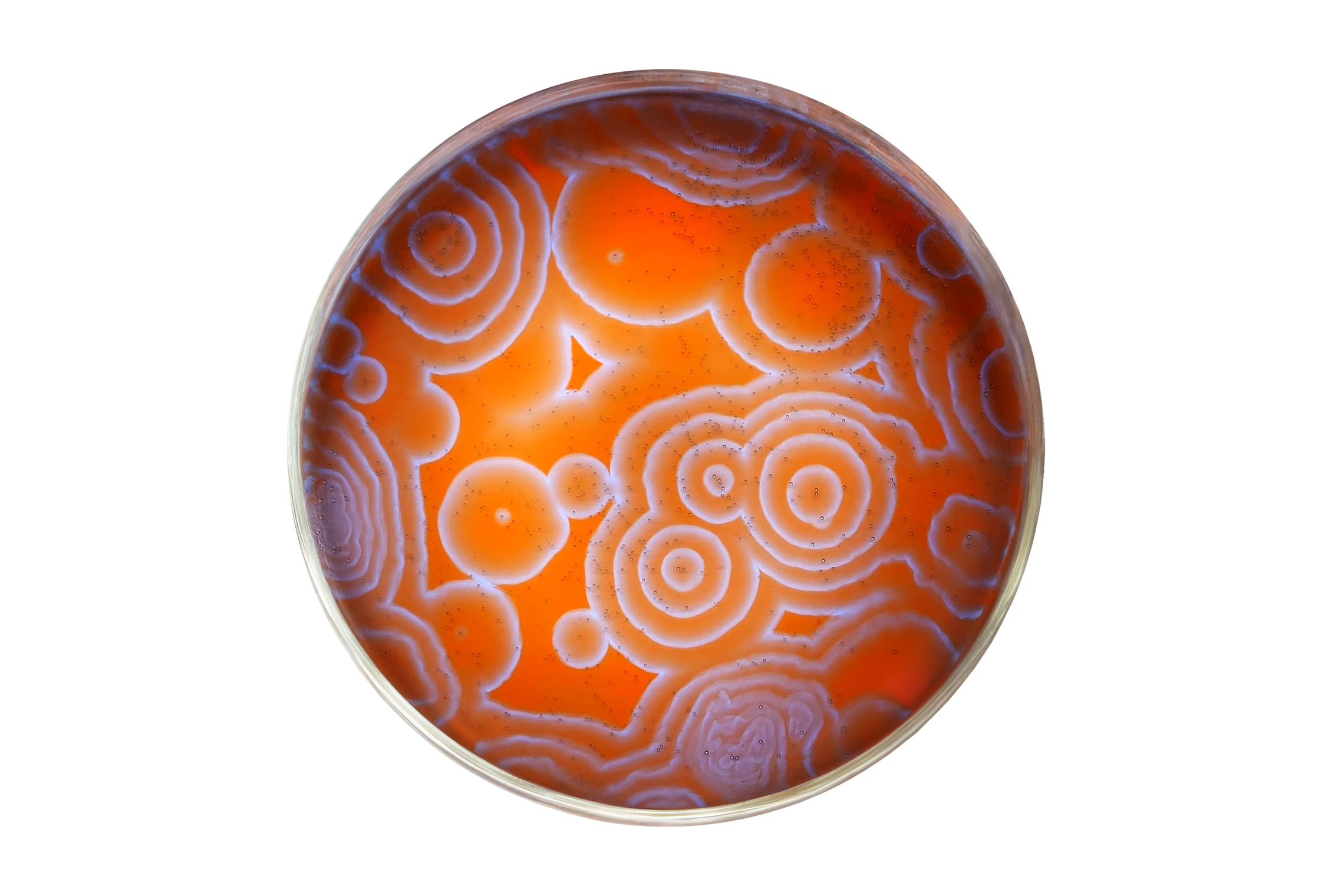 NileRed Beaker Mug – DFTBA