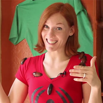 Collections – DFTBA