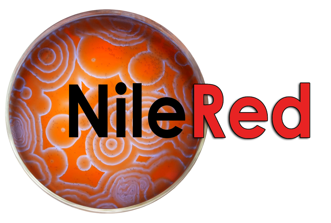 NileRed Beaker Mug – DFTBA