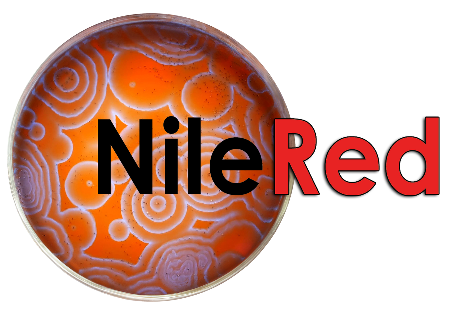NileRed Beaker Mug – DFTBA