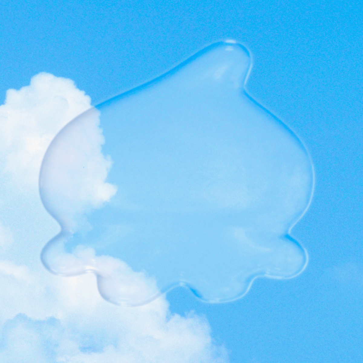 Our Partners – DFTBA