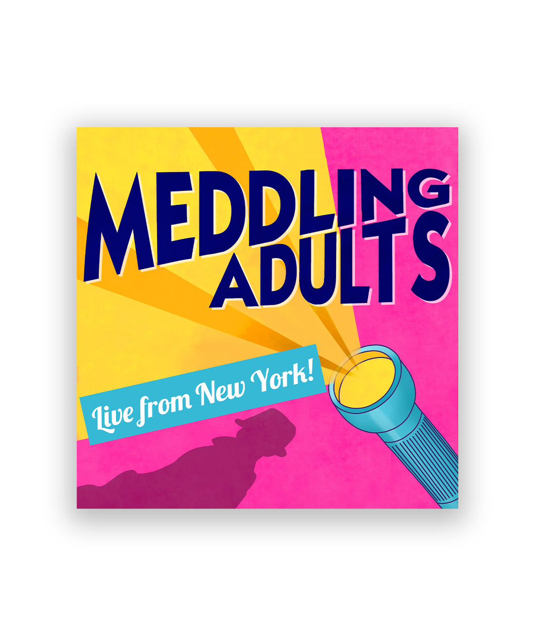 Meddling Adults – DFTBA